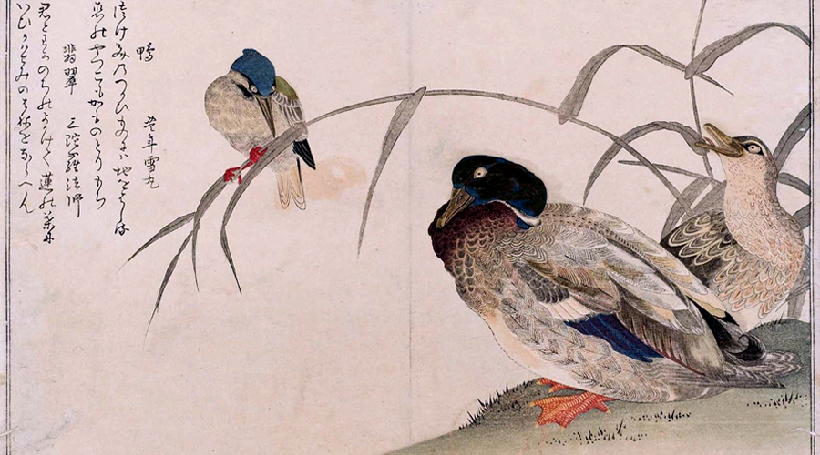 The Importance of Kihon in Martial Arts – Aikido Italia Network